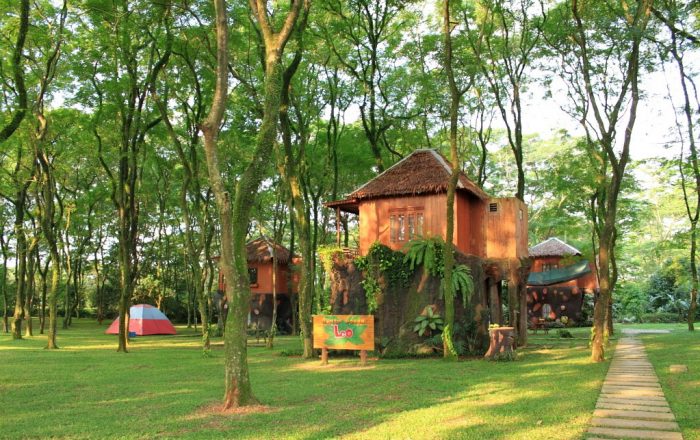 5 Beautiful Tree Houses You Can Stay in Indonesia - Indoindians.com