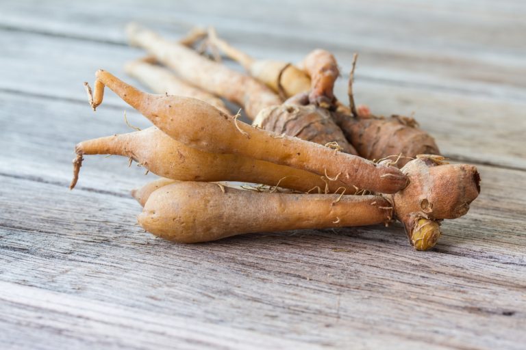 Herbs and spices used in Indonesian cuisine - Indoindians.com