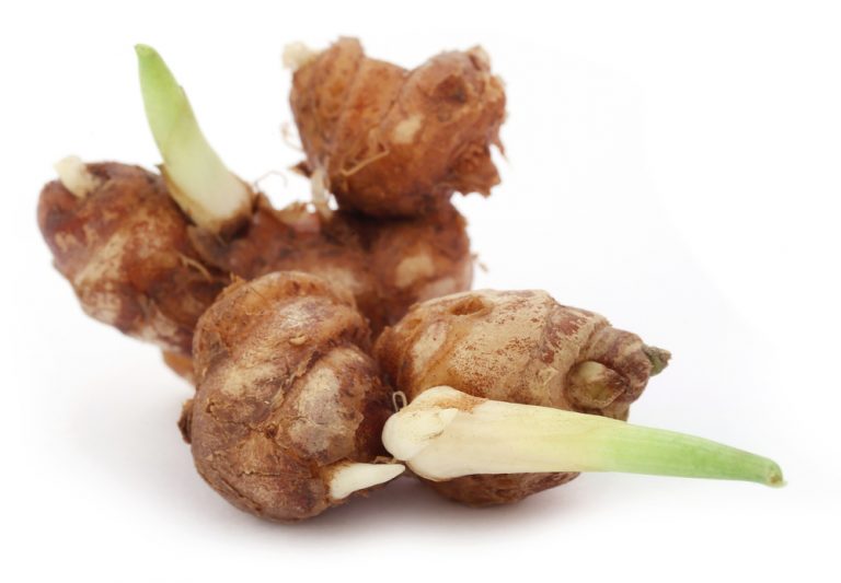 Kencur: The Wonderful Herb with Many Benefits - Indoindians.com