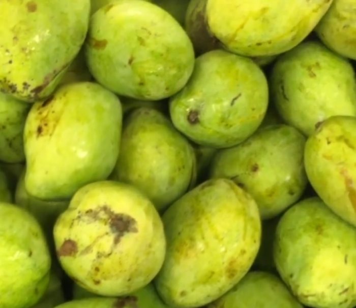 7 Popular Indonesian Mangoes You #MustTry - Indoindians.com