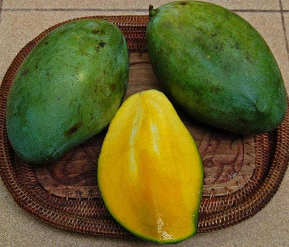 7 Popular Indonesian Mangoes You #MustTry - Indoindians.com