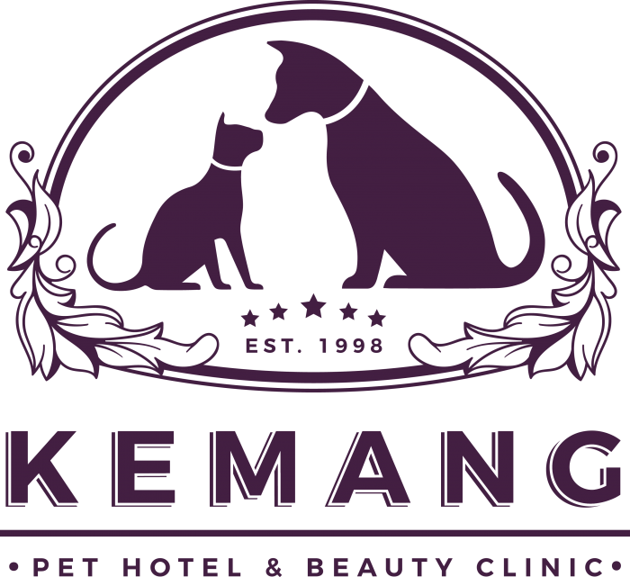 Kemang View Logo