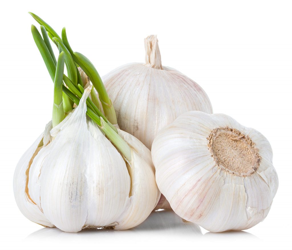 List of Medicinal Herbs in Our Kitchen - Indoindians.com