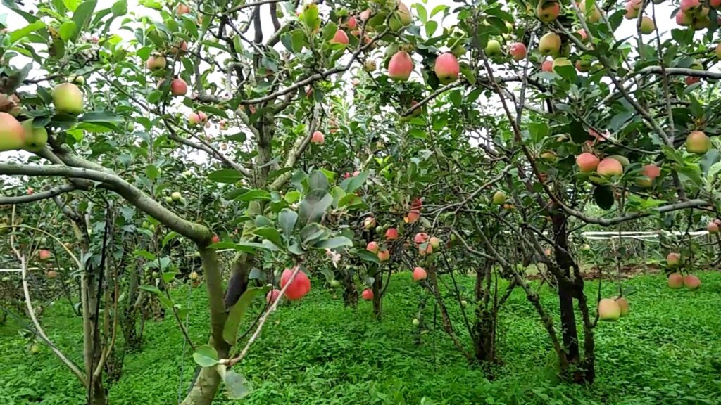16 Nature Destinations To Visit in Malang - Indoindians.com