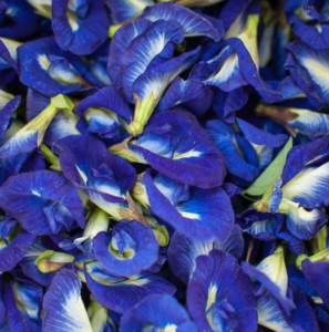 9 Incredible Health Benefits of Purple Pea Flower - Indoindians.com