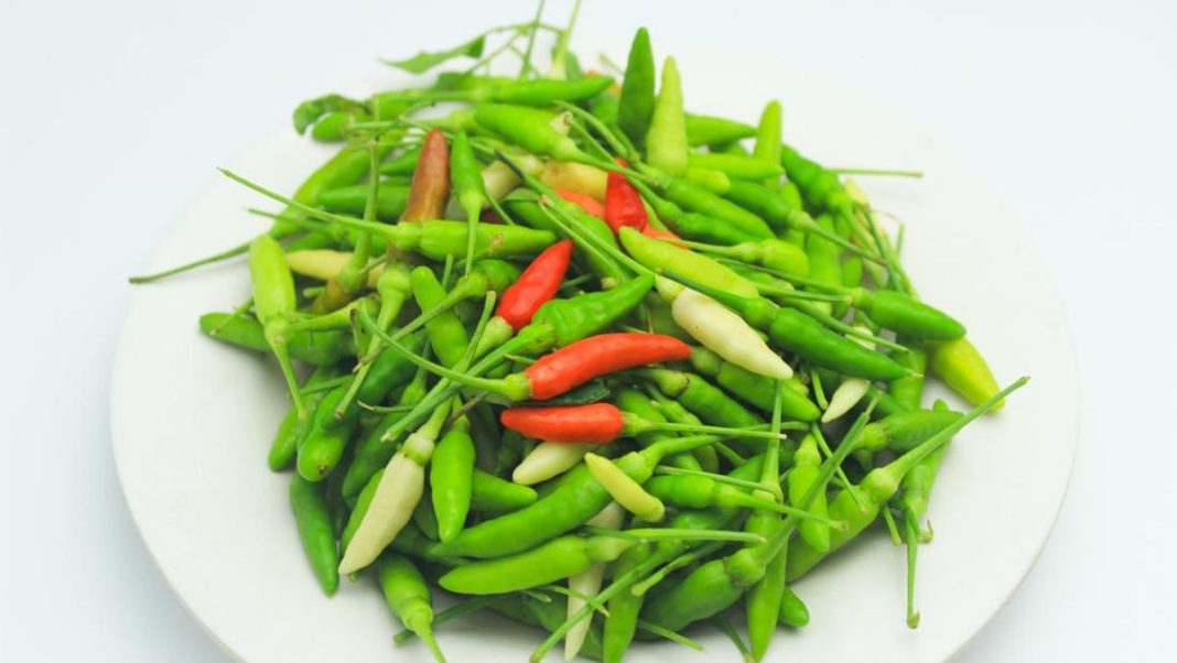 A Simple Recipe to Create Fresh Sambal Cabai Hijau